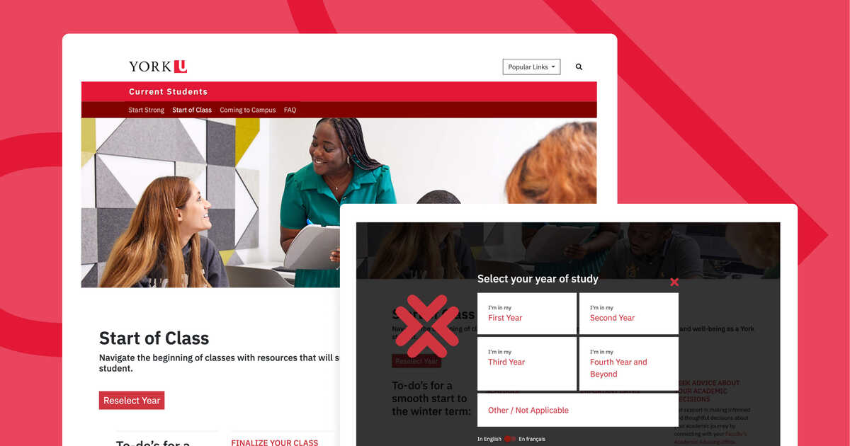 York University—Étudiants actuels